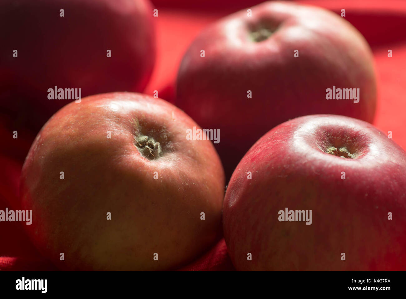 Group red apple on hi-res stock photography and images - Alamy