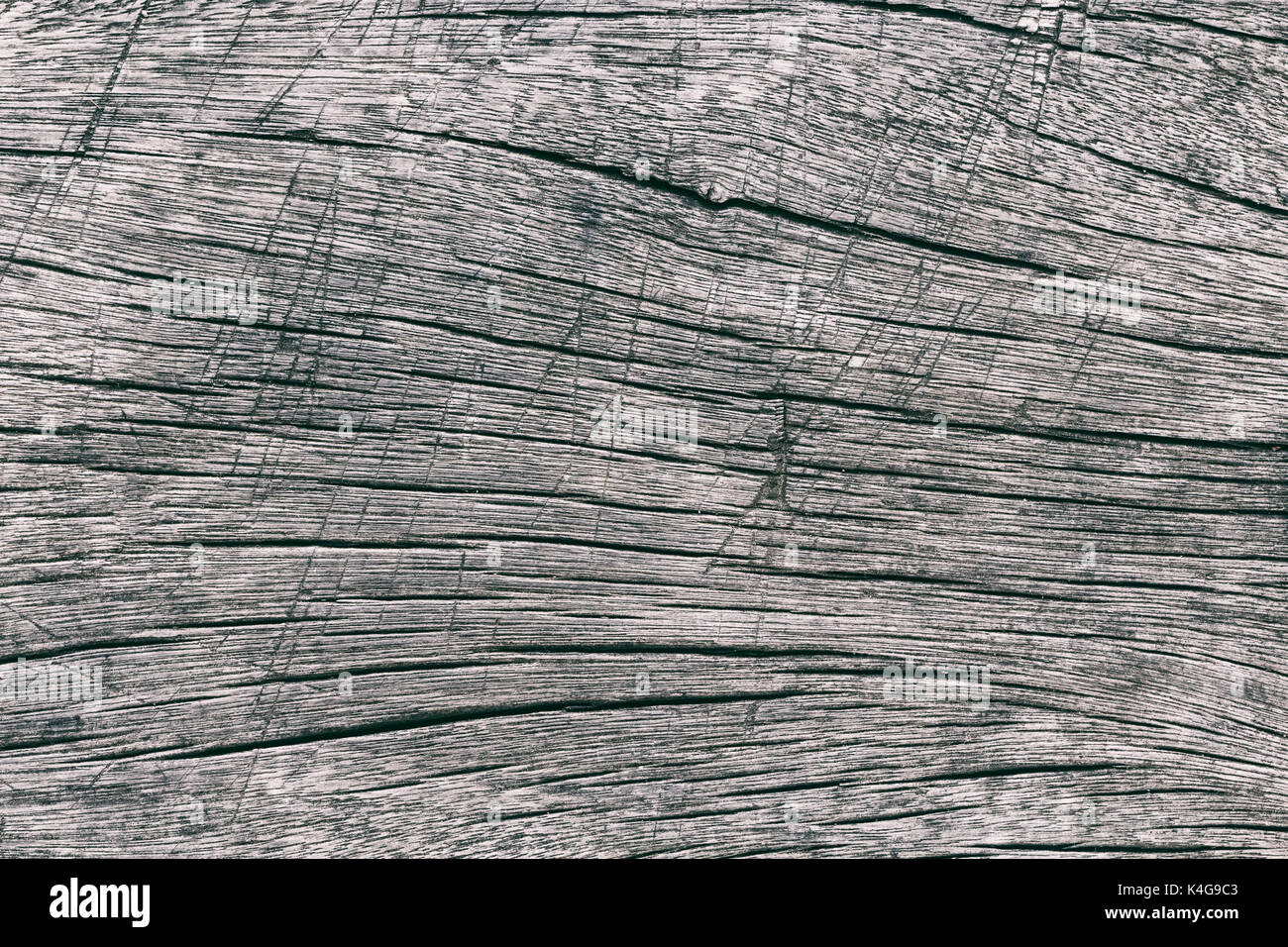 Vintage surface wood table and rustic grain texture background. Close ...