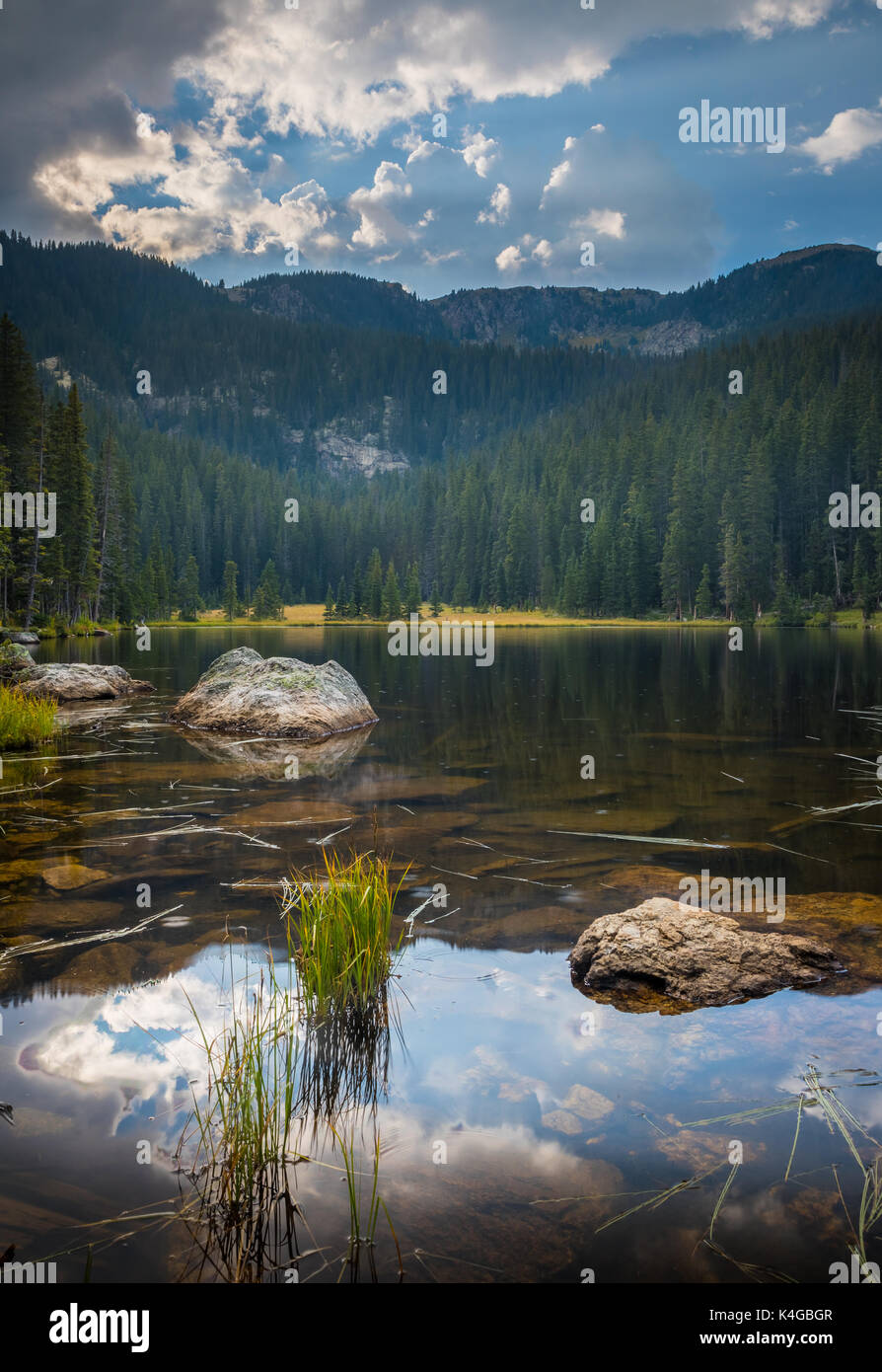 Carson national forest hi-res stock photography and images - Alamy