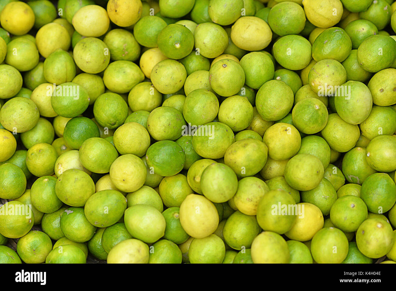 Close up view of green and yellow lemons Stock Photo - Alamy