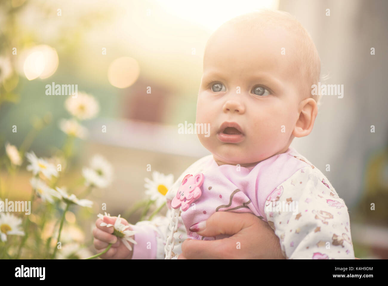 small baby girl holding a daisy in her hand Stock Photo - Alamy