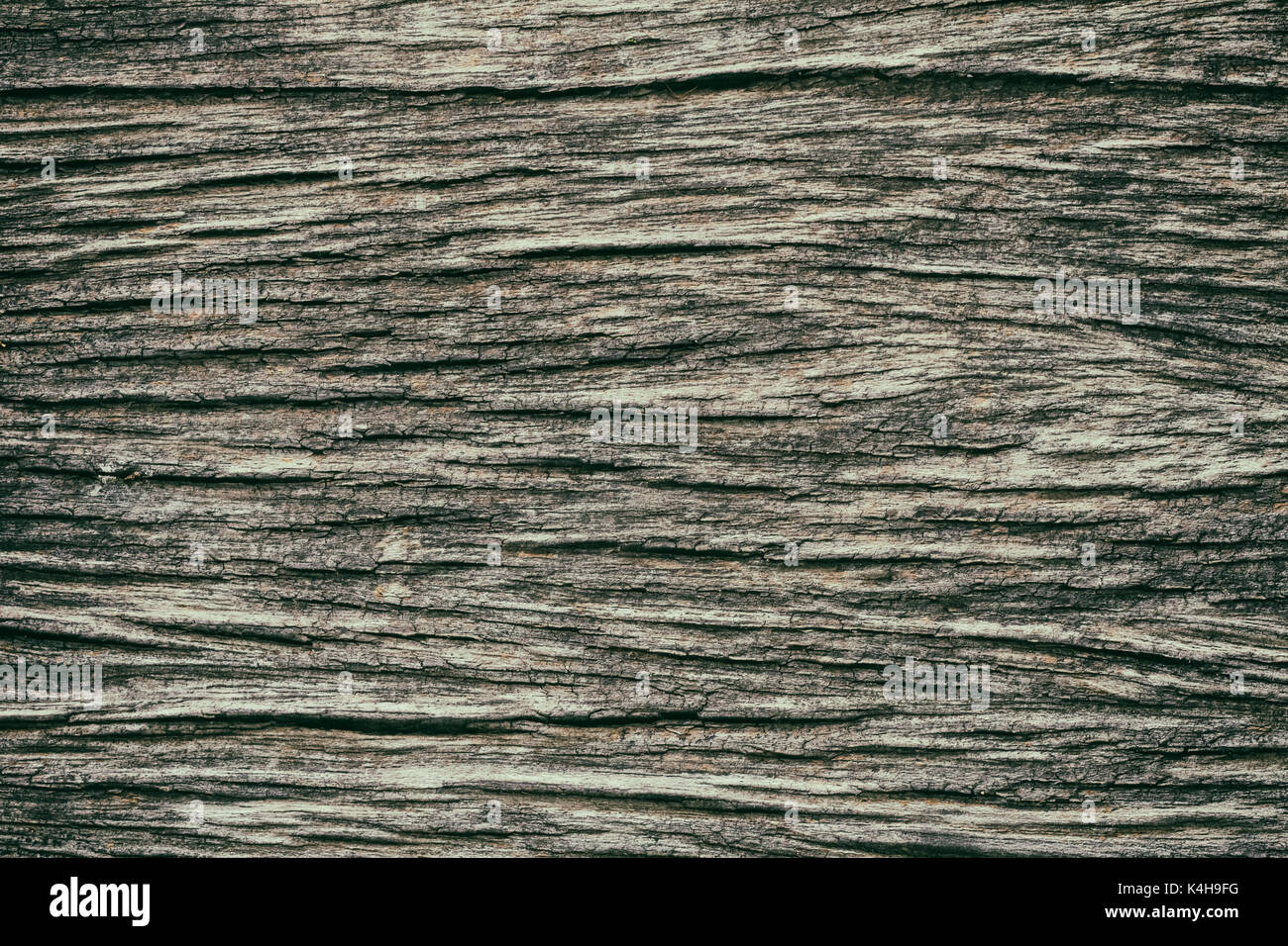 Vintage surface wood table and rustic grain texture background. Close ...