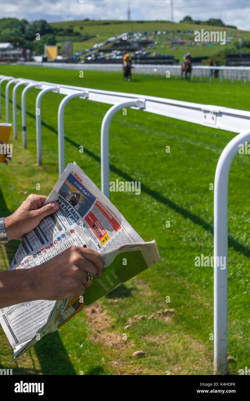 Man read bet newspaper at horse racing Stock Photo - Alamy