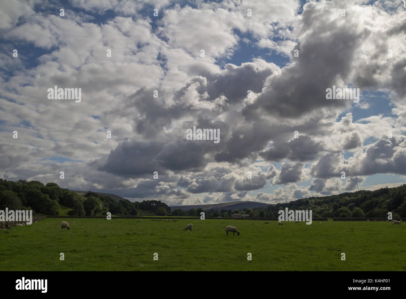 summer skies over South Tyne Valley Stock Photo - Alamy