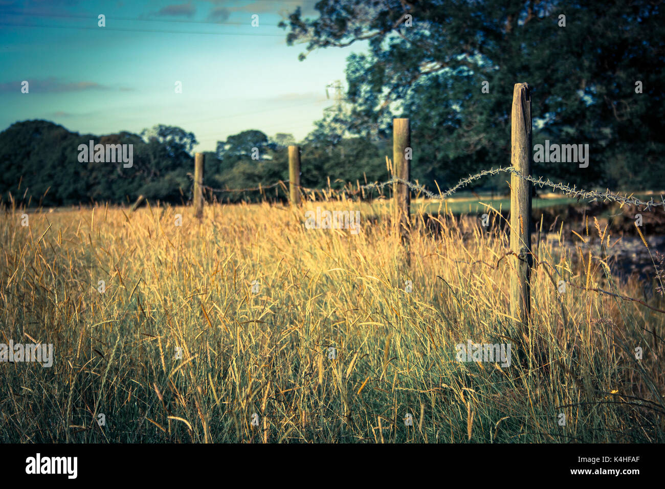 Kendal fence hi-res stock photography and images - Alamy