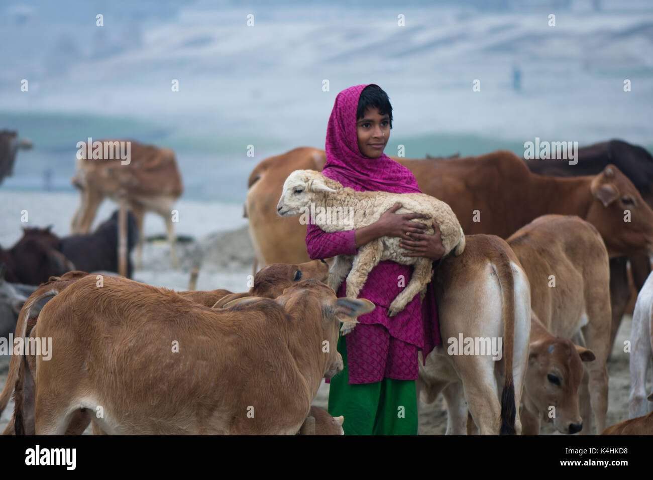 Quadrupedal animals hi-res stock photography and images - Alamy