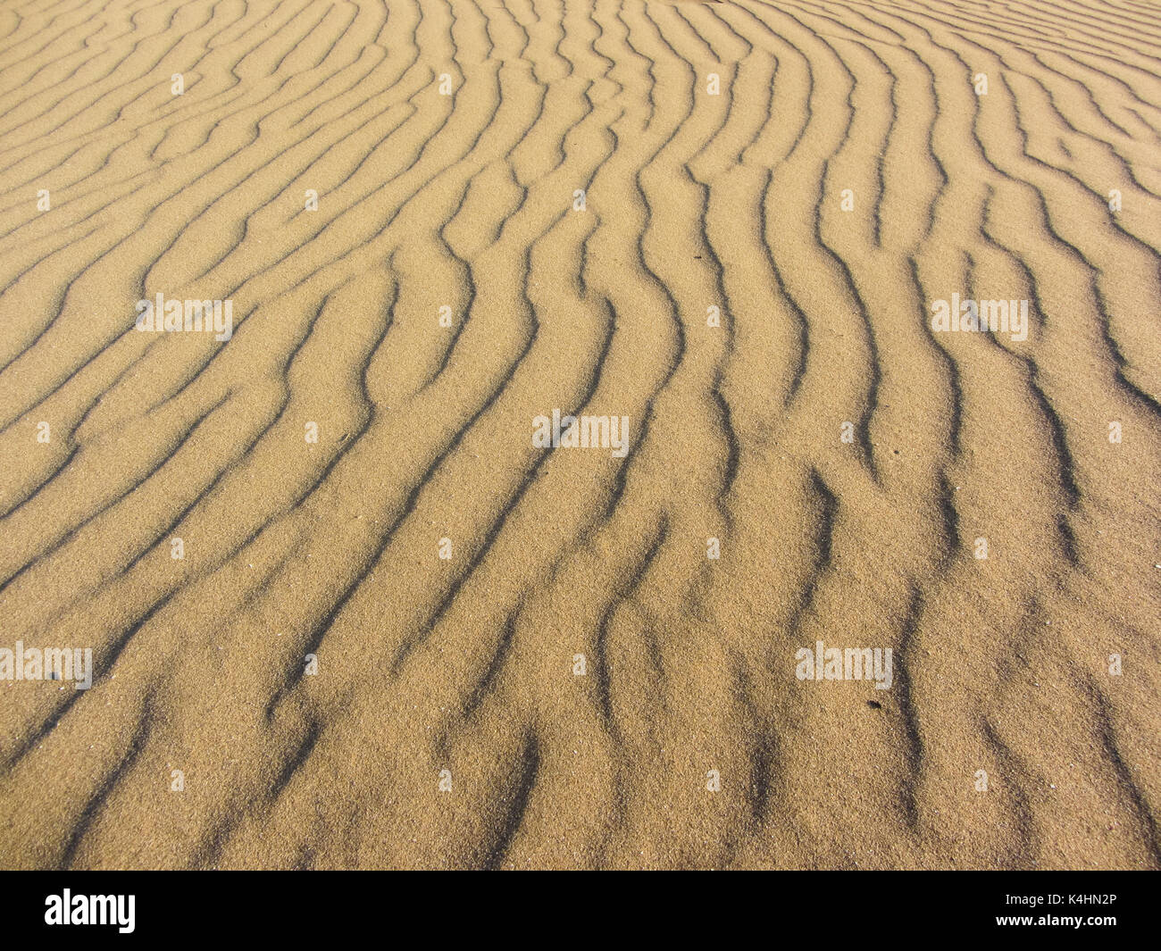 Ripples and windy movement hi-res stock photography and images - Alamy