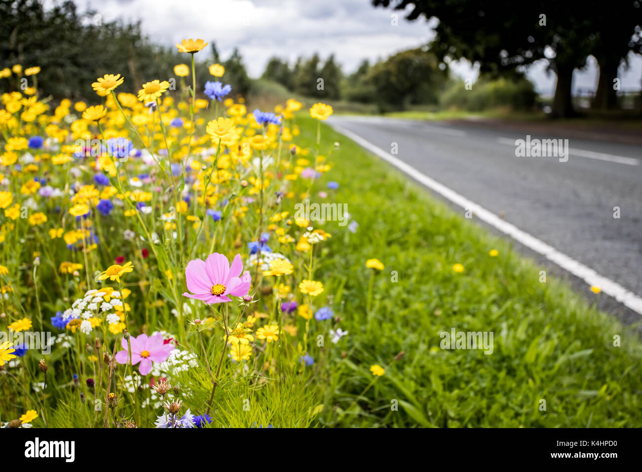 The road to Appleton, Cheshire, UK Stock Photo - Alamy
