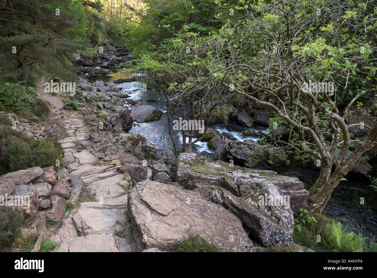 Rocky footpath beside the river in the Pass of Aber-Glaslyn near ...