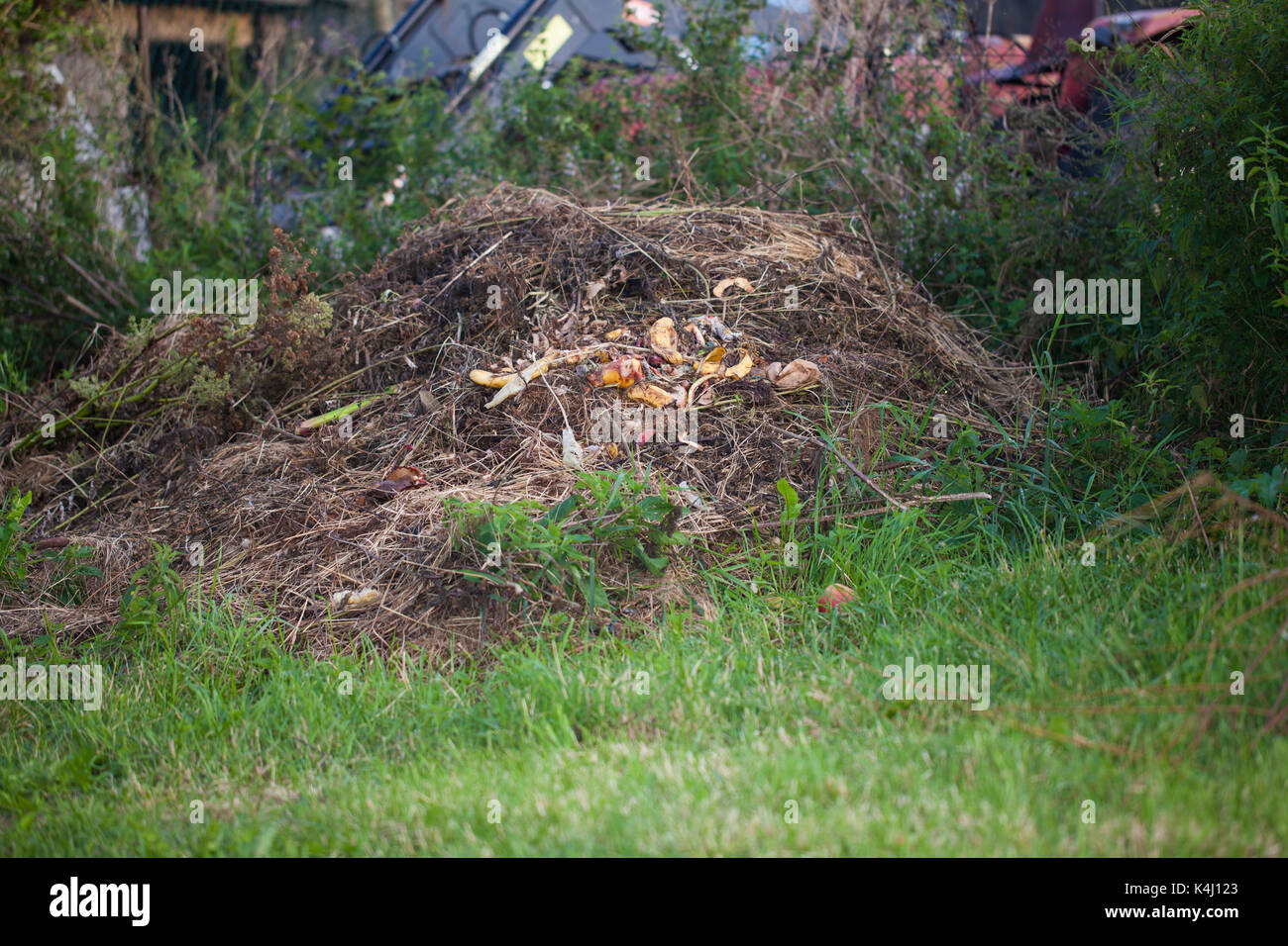 Recycling garden and kitchen waste on a compost heap Stock Photo - Alamy