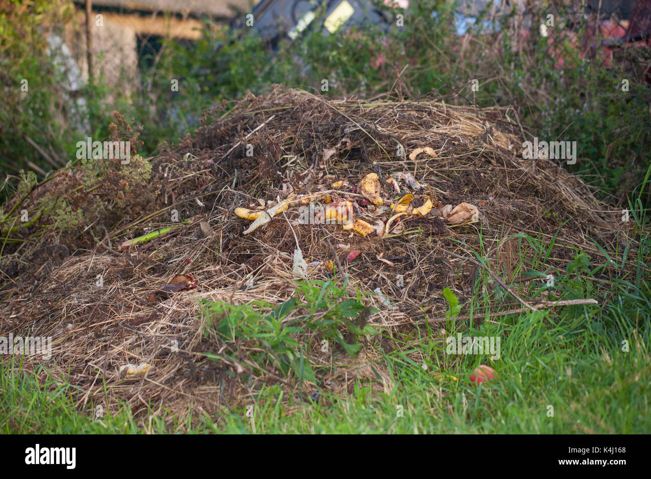heap of food waste Stock Photo - Alamy
