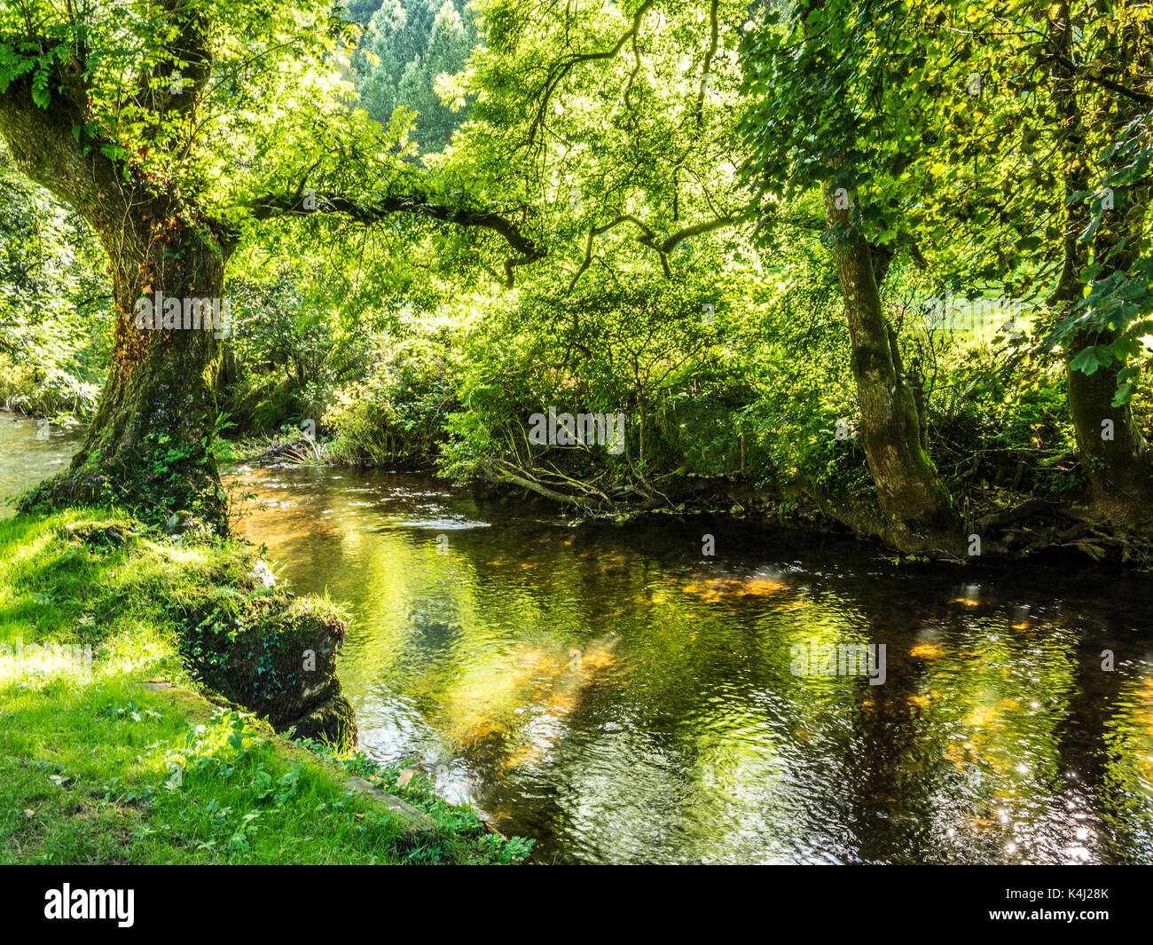 Exmoor national park hi-res stock photography and images - Alamy