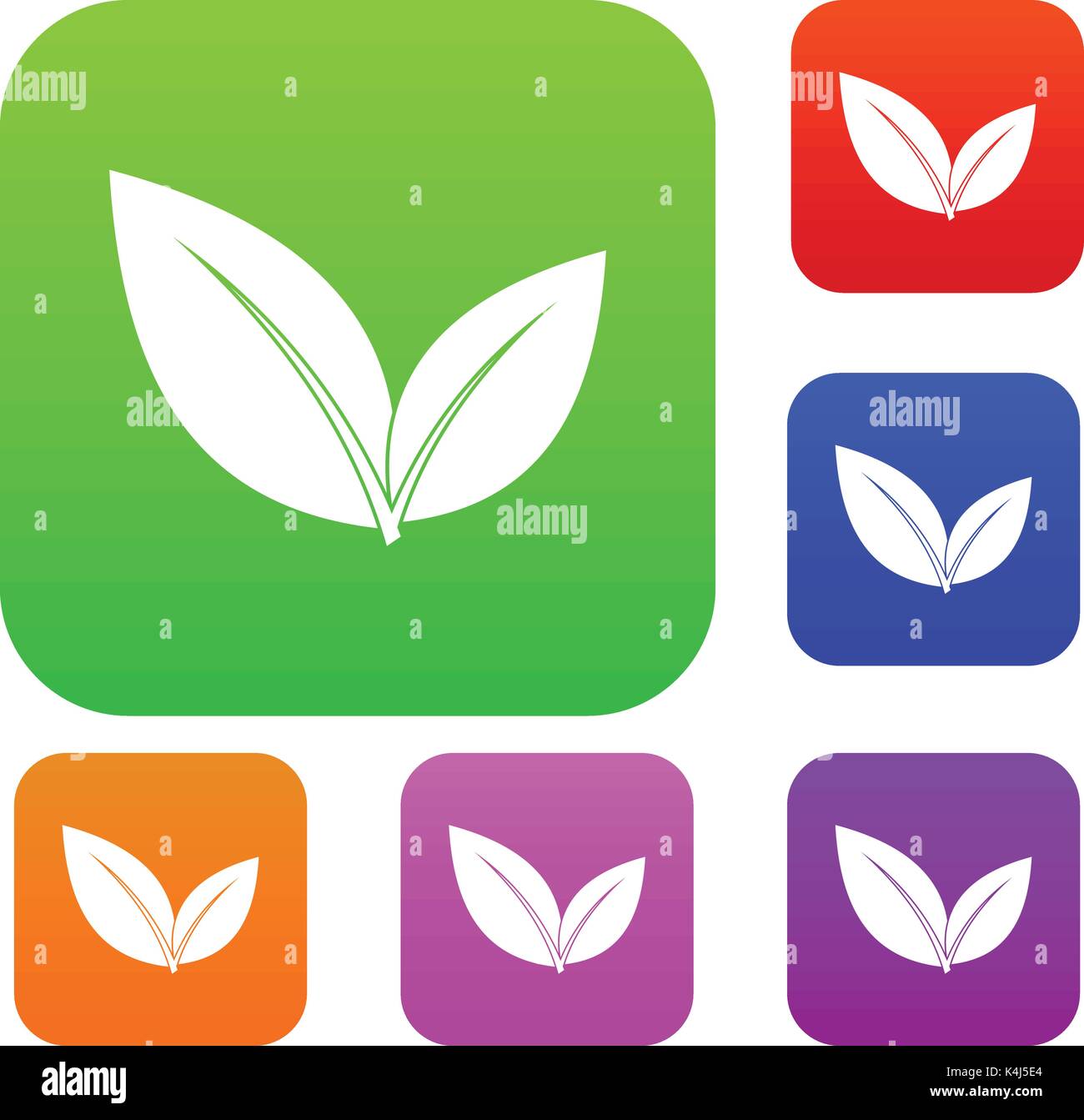 Leaf set collection Stock Vector Image & Art - Alamy