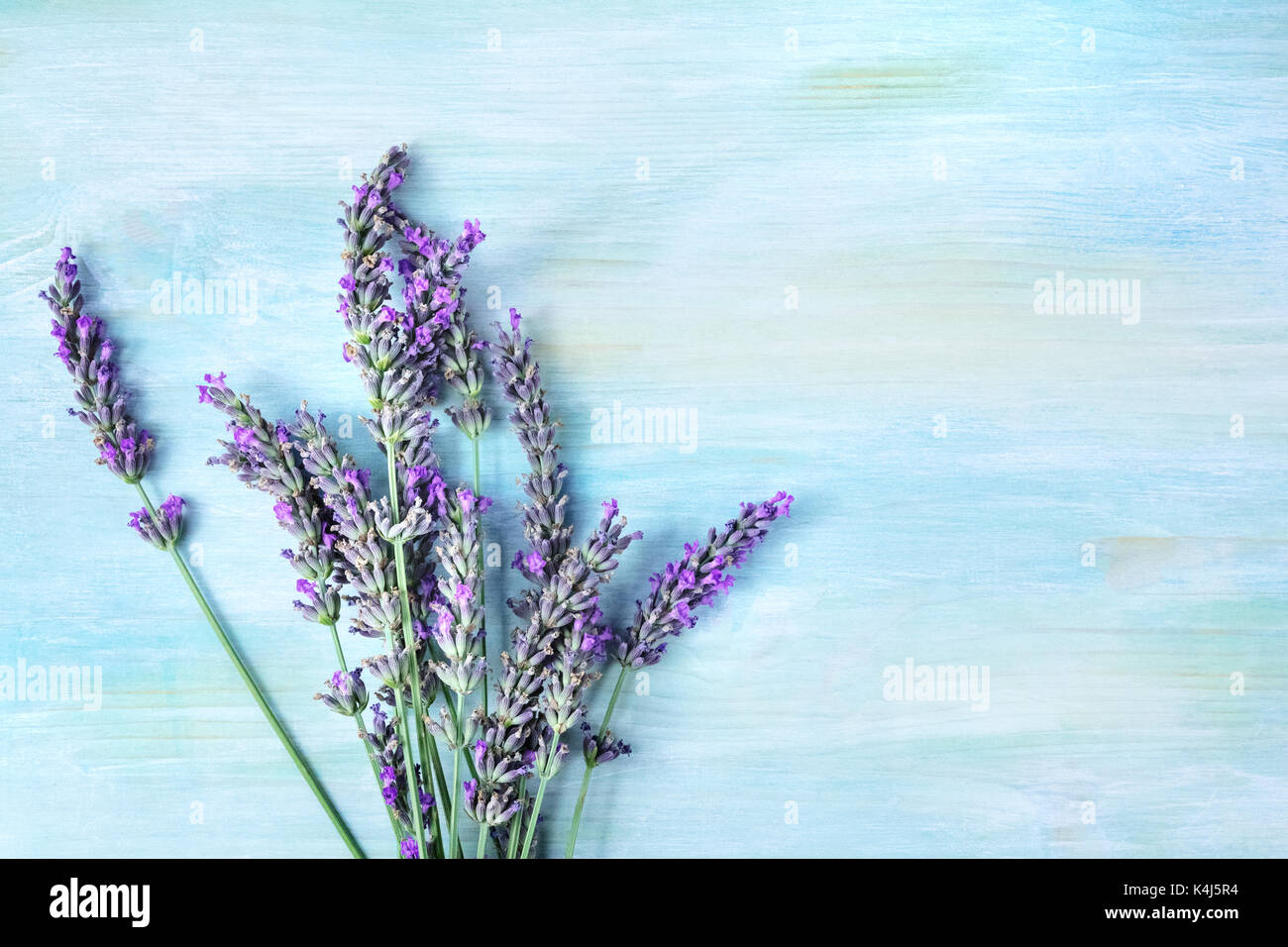Overhead photo of lavender branches with copy space Stock Photo - Alamy