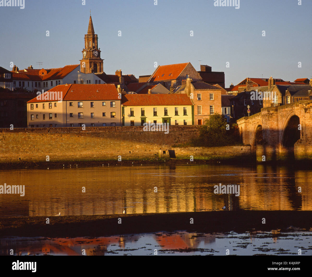 Berwick on tweed hi-res stock photography and images - Alamy