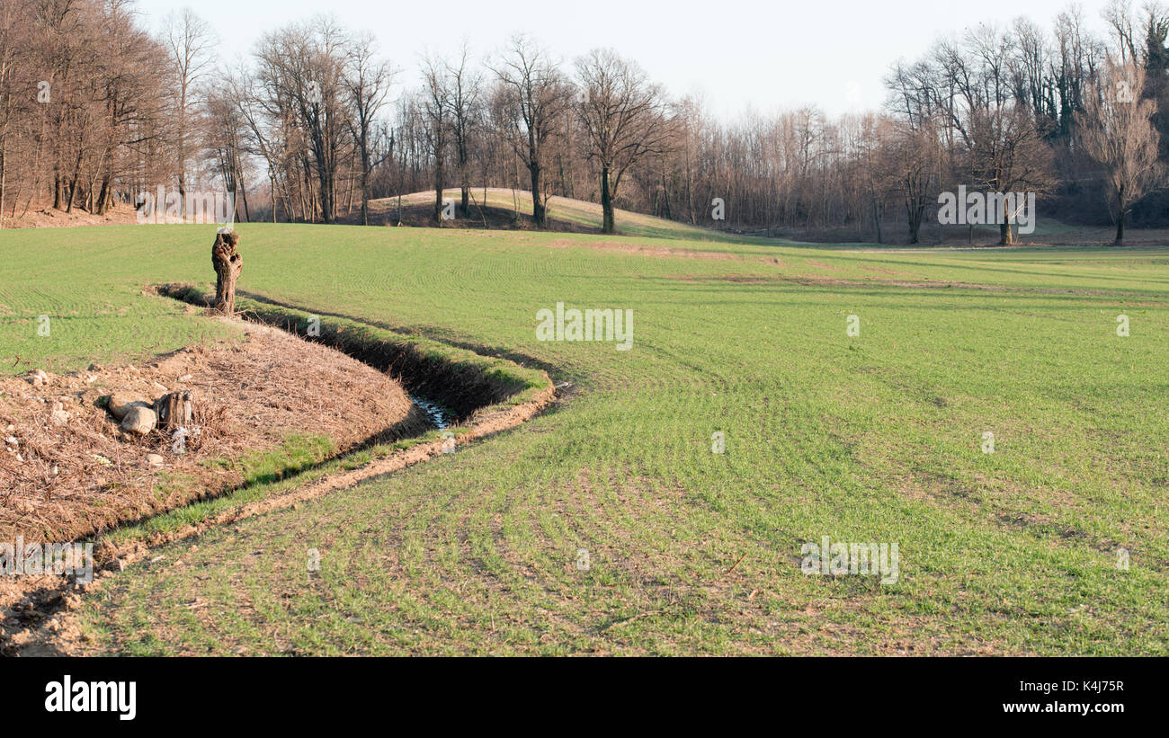 Awaiting spring hi-res stock photography and images - Alamy