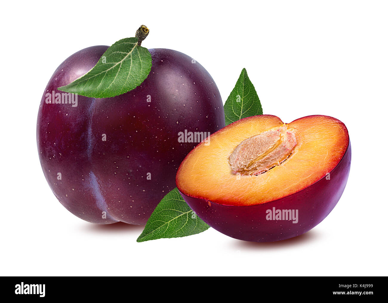 plum on a white background Stock Photo - Alamy