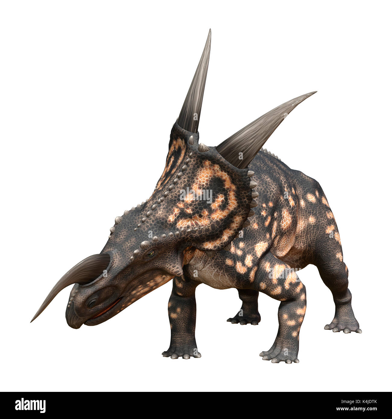 3D rendering of a dinosaur Einiosaurus isolated on white background ...