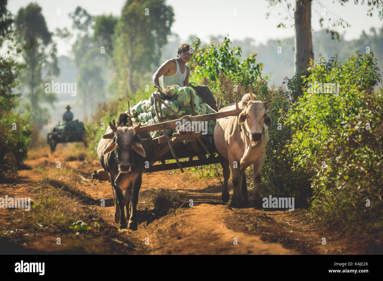 Community life hi-res stock photography and images - Alamy
