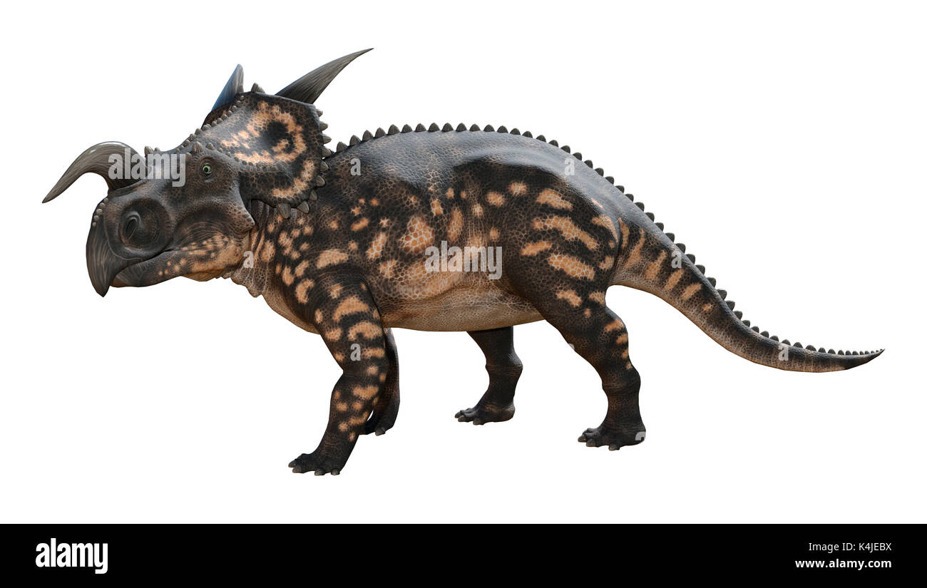 3D rendering of a dinosaur Einiosaurus isolated on white background ...