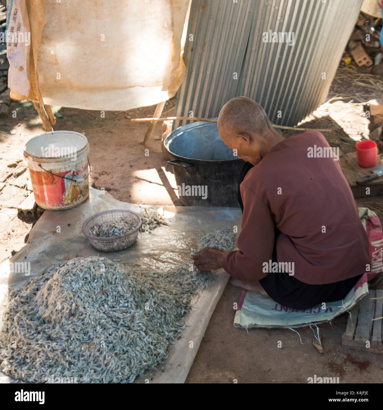Man arranging seafood on hi-res stock photography and images - Alamy