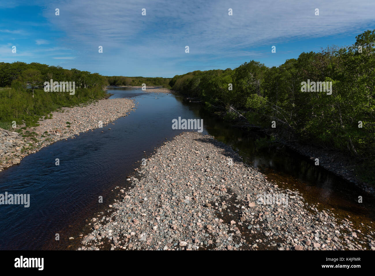 Scenic view of a river in forest, Petit Etang, Cabot Trail, Cape Breton ...