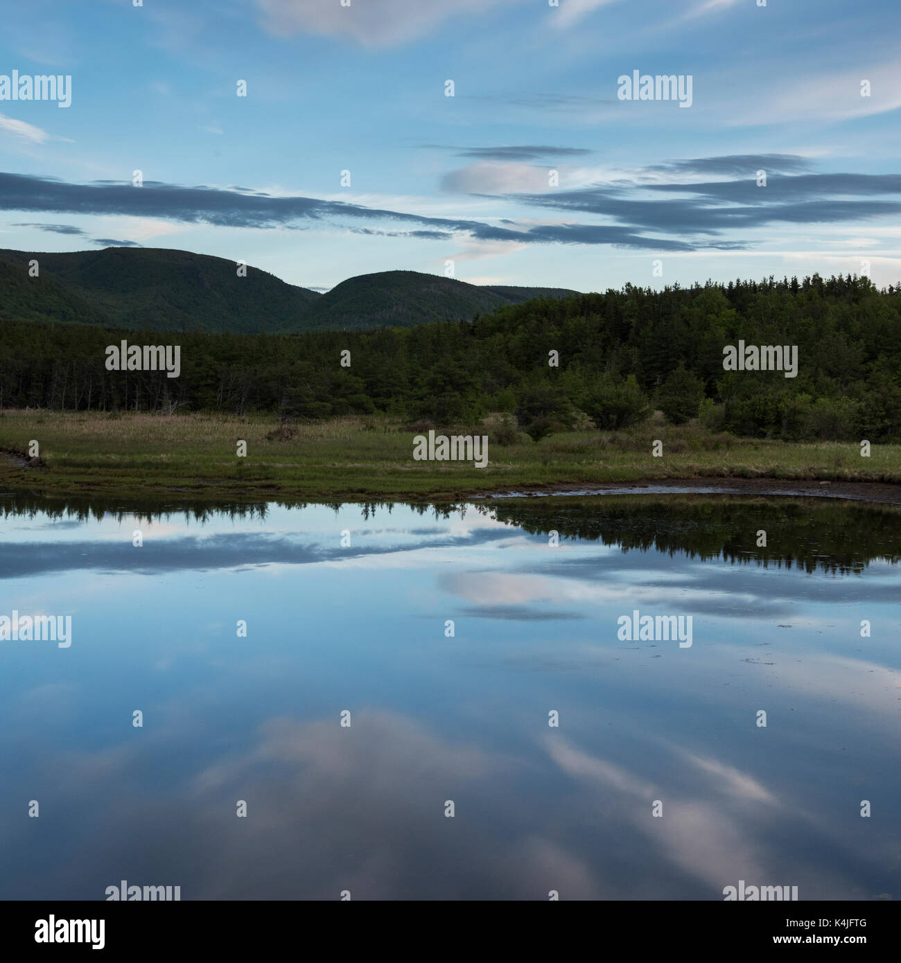 Scenic view of calm river in forest, Cheticamp, Cabot Trail, Cape ...
