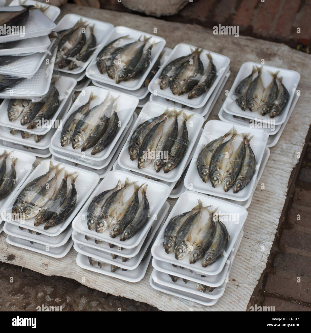 Elevated view of fish for sale, Luang Prabang, Laos Stock Photo - Alamy
