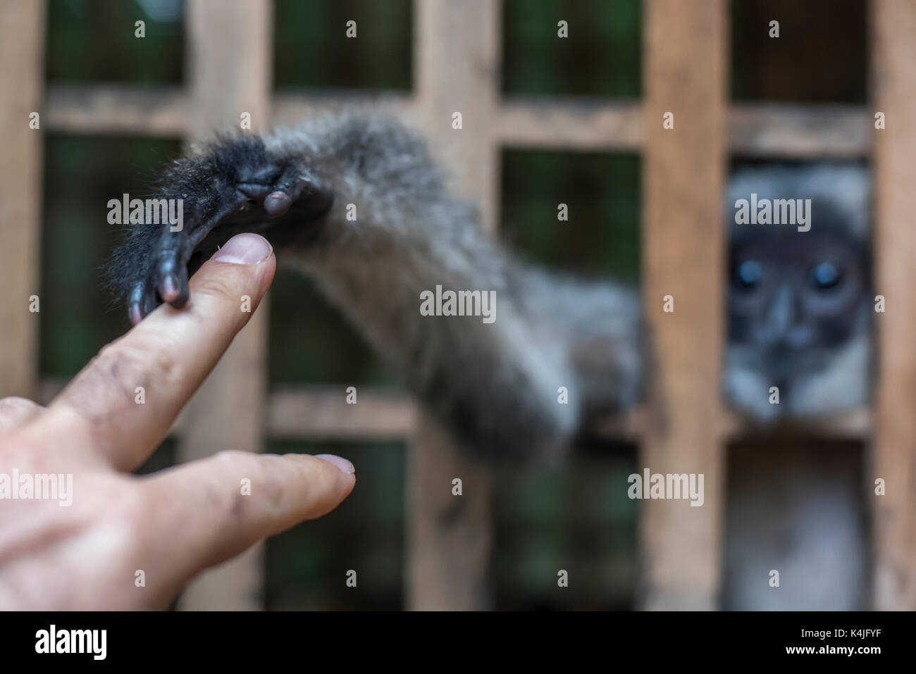 Laos bars hi-res stock photography and images - Alamy