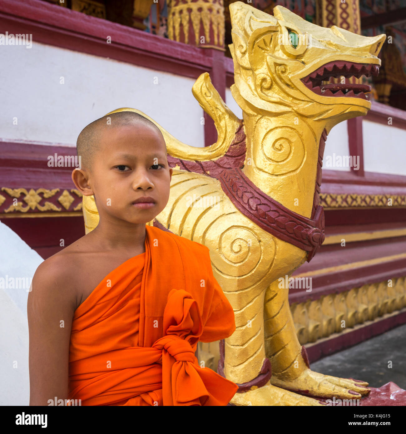Portrait of boy monk standing outside temple, Luang Prabang, Laos Stock ...