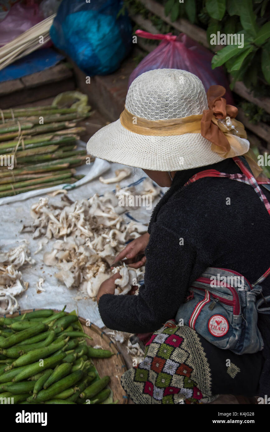 Sorting vegetables hi-res stock photography and images - Alamy