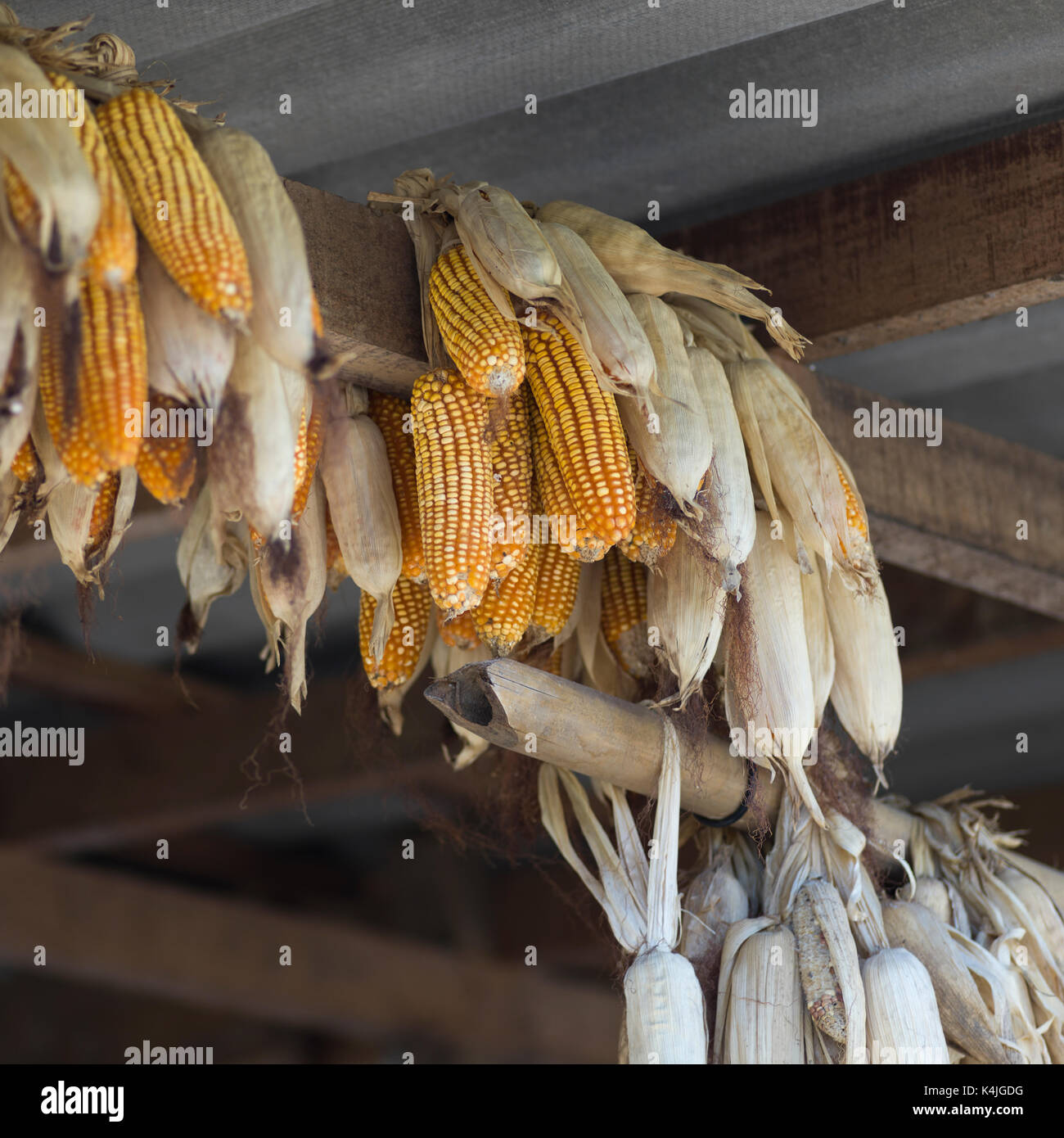 Husk roof hi-res stock photography and images - Alamy