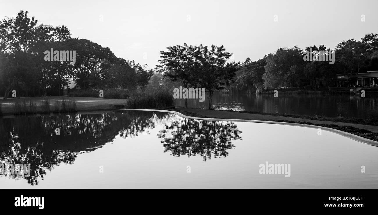 Reflection of trees in water Black and White Stock Photos & Images - Alamy