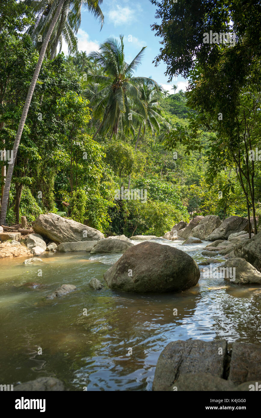 Stream flowing through forest, Koh Samui, Surat Thani Province ...