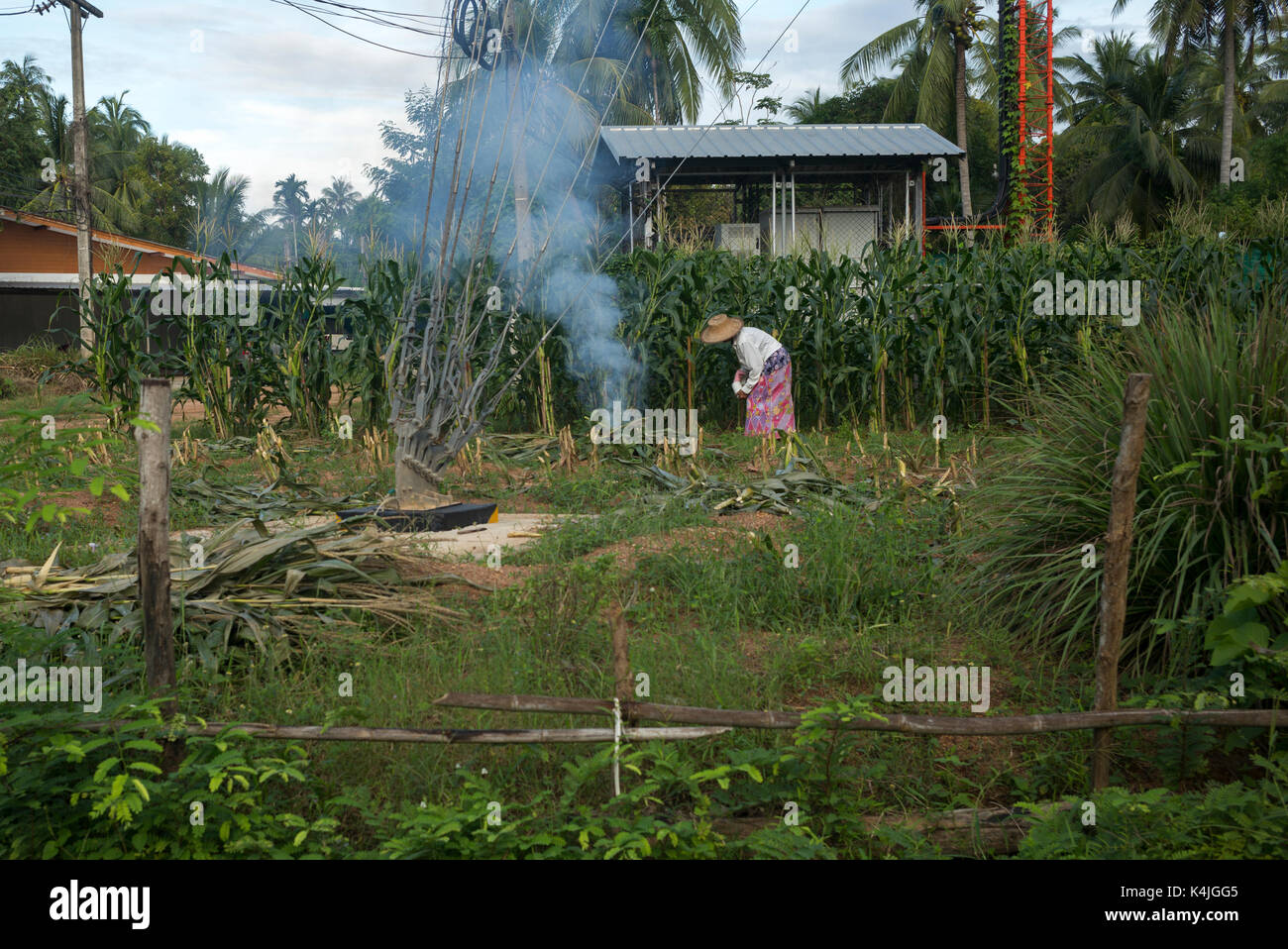 Shed traditional clothing hi-res stock photography and images - Alamy