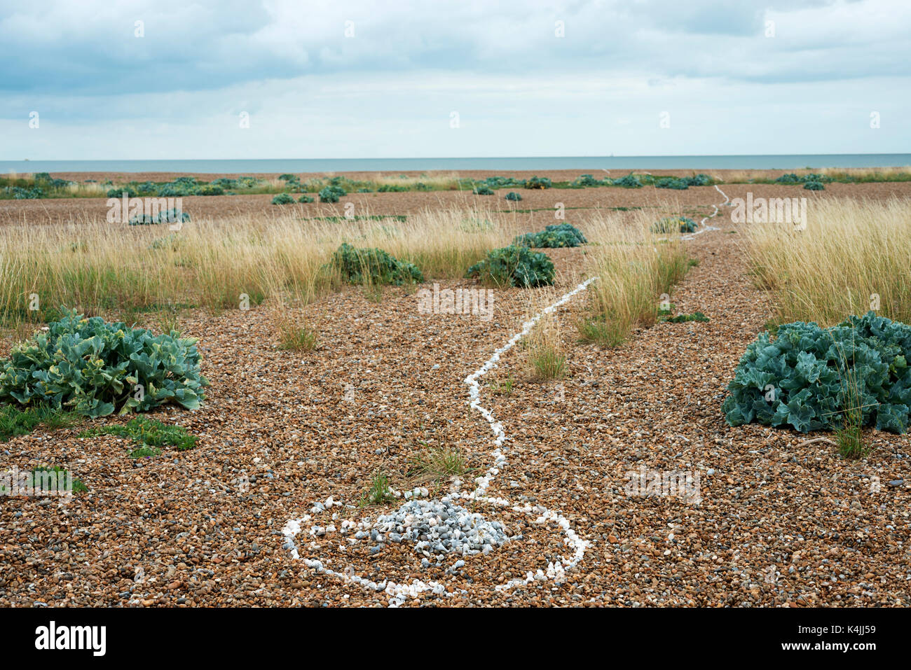 The Shingle Street Shell Line, Shingle Street, Suffolk, UK Stock Photo ...