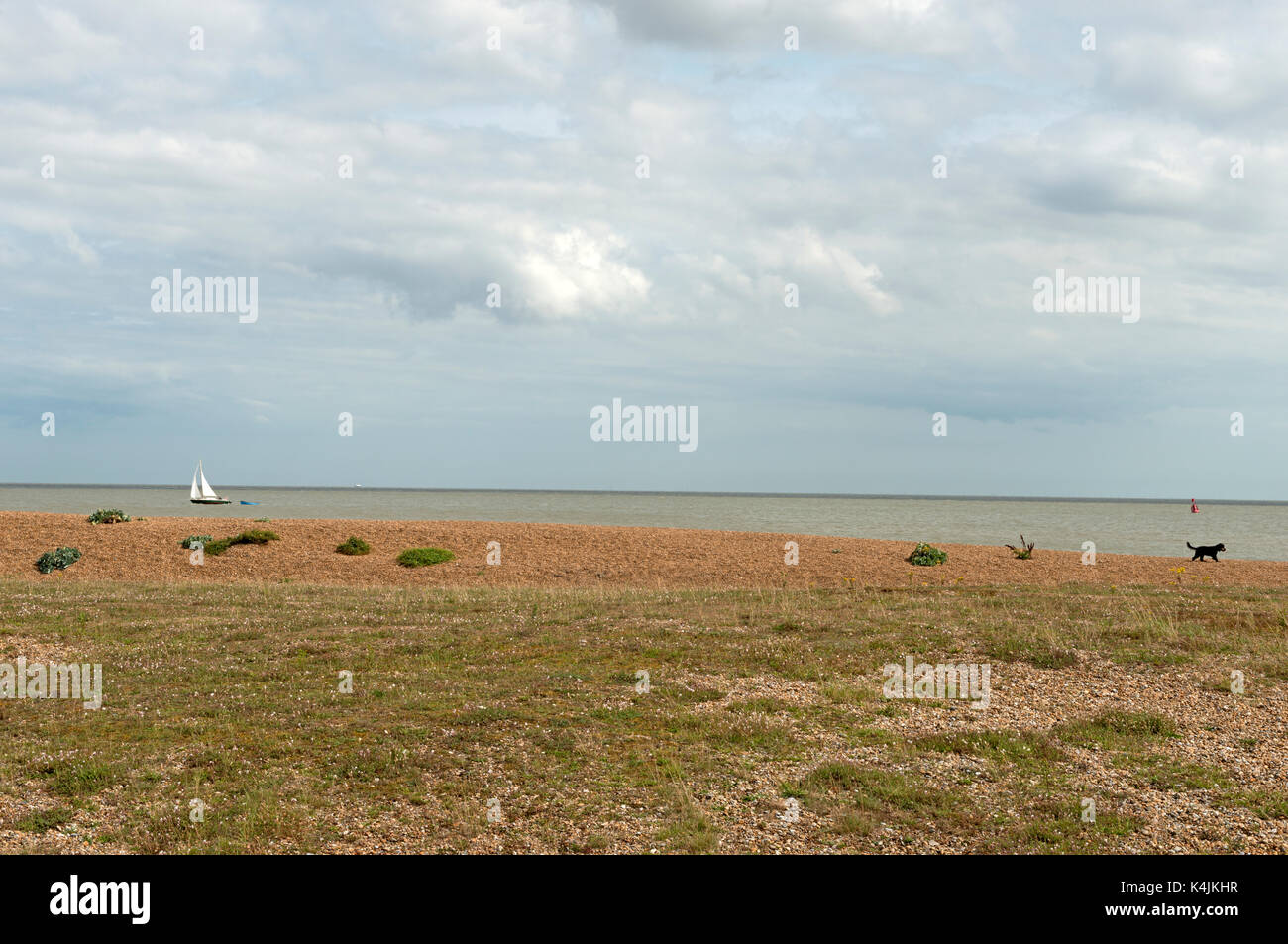 Shingle Street, Suffolk, UK Stock Photo - Alamy