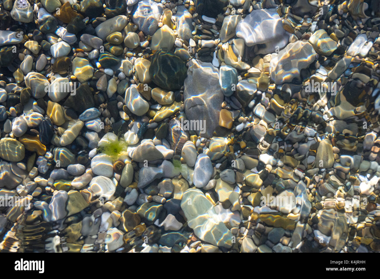 sea pebble beach with multicoloured stones, transparent waves with foam ...