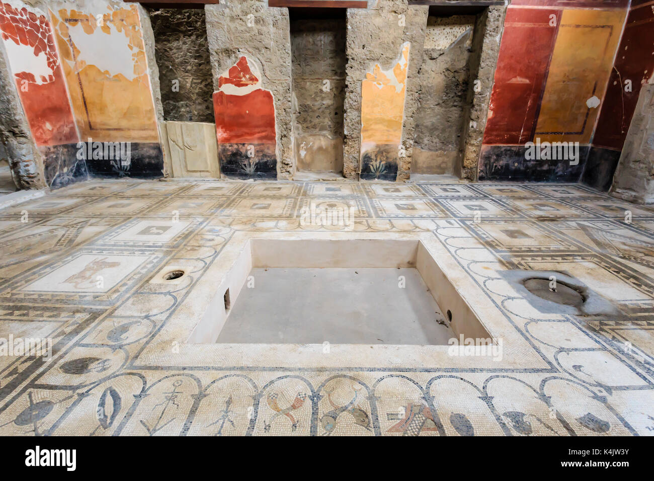 Pansa hi-res stock photography and images - Alamy