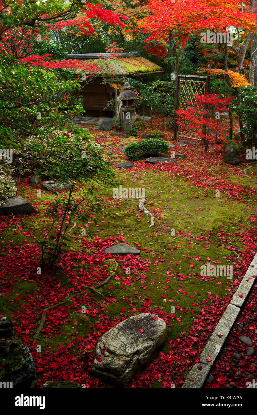 Daiho in hi-res stock photography and images - Alamy