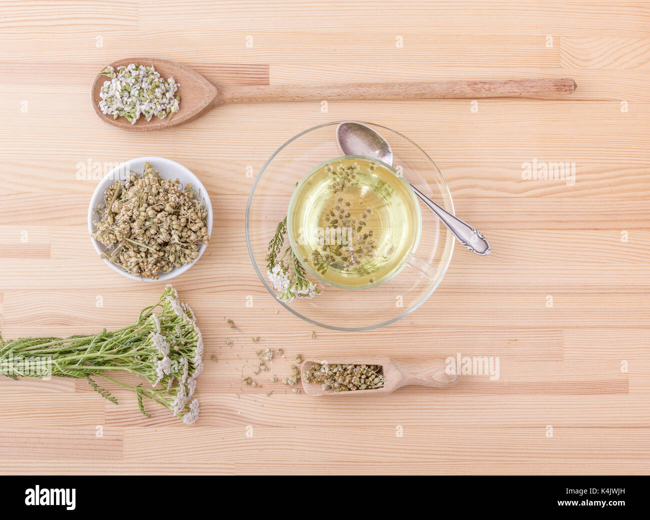 Top view of a Cup with yarrow tea, fresh and dried yarrow Stock Photo ...