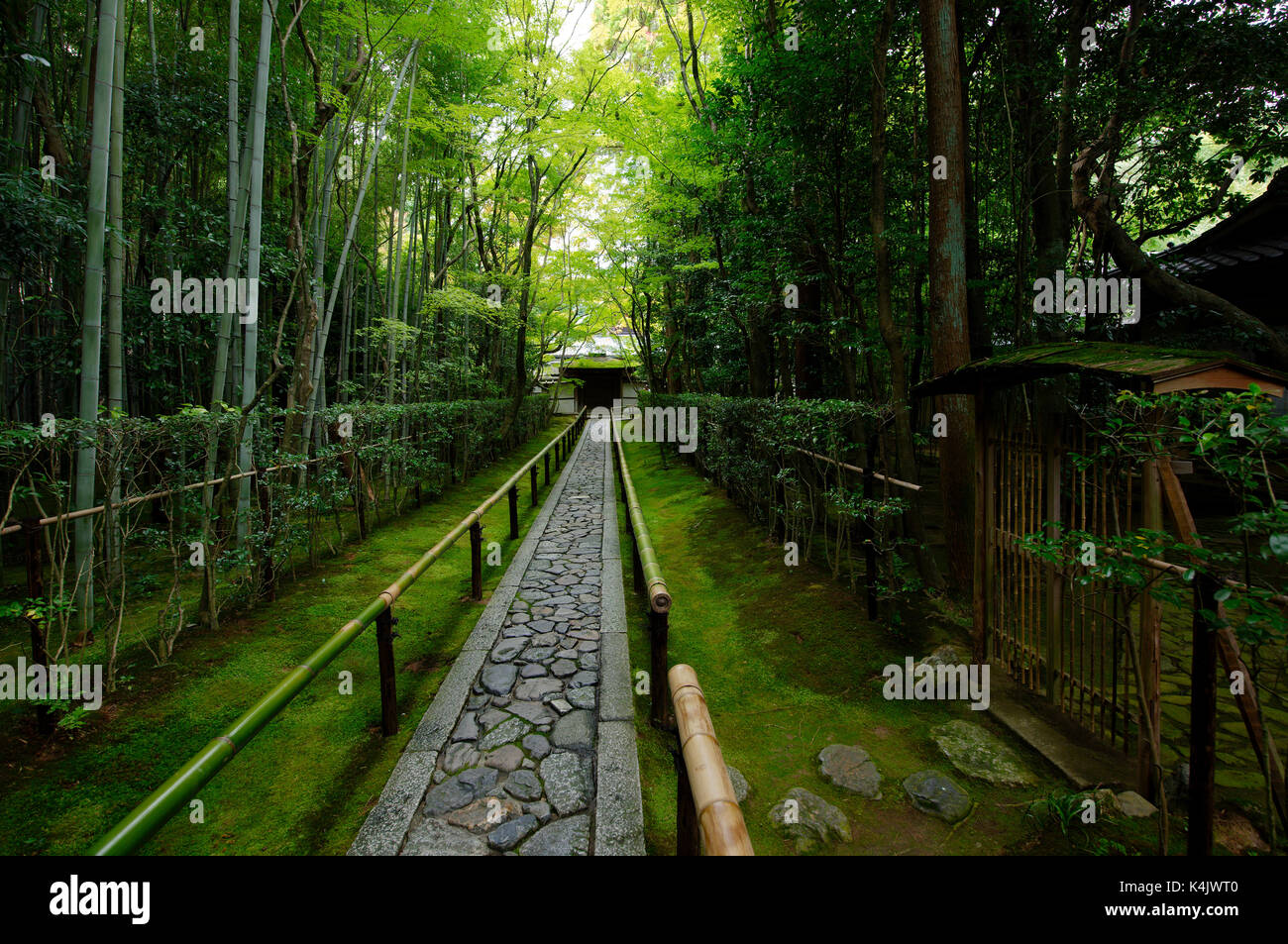 Koto-in temple narrow entrance path, Kyoto, Japan, Asia Stock Photo - Alamy