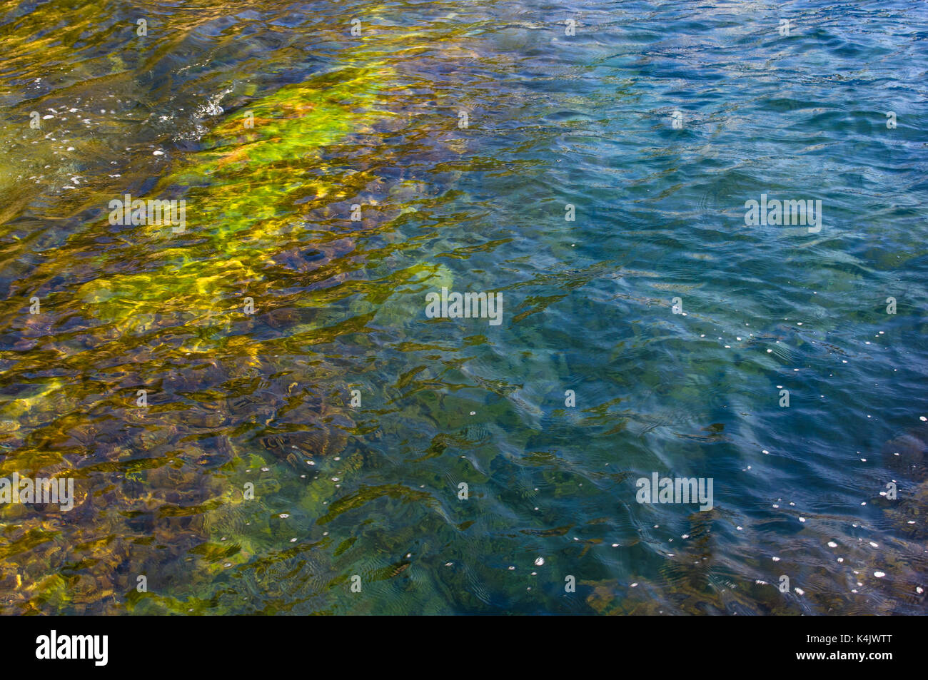 rocky sea shore with with seaweed, transparent waves with foam, on a ...