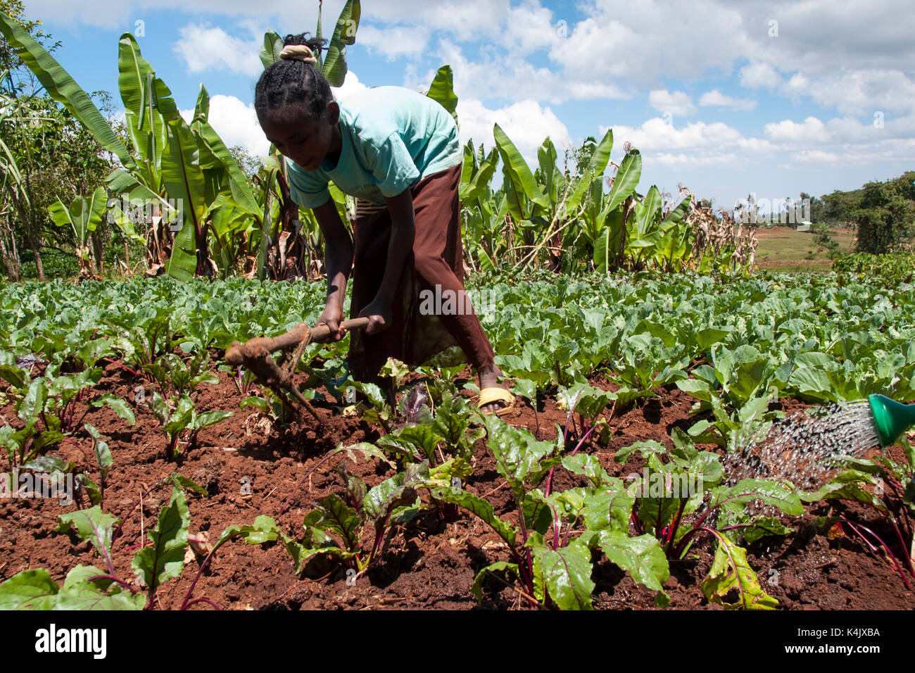 Girl Africa Farm High Resolution Stock Photography and Images - Alamy