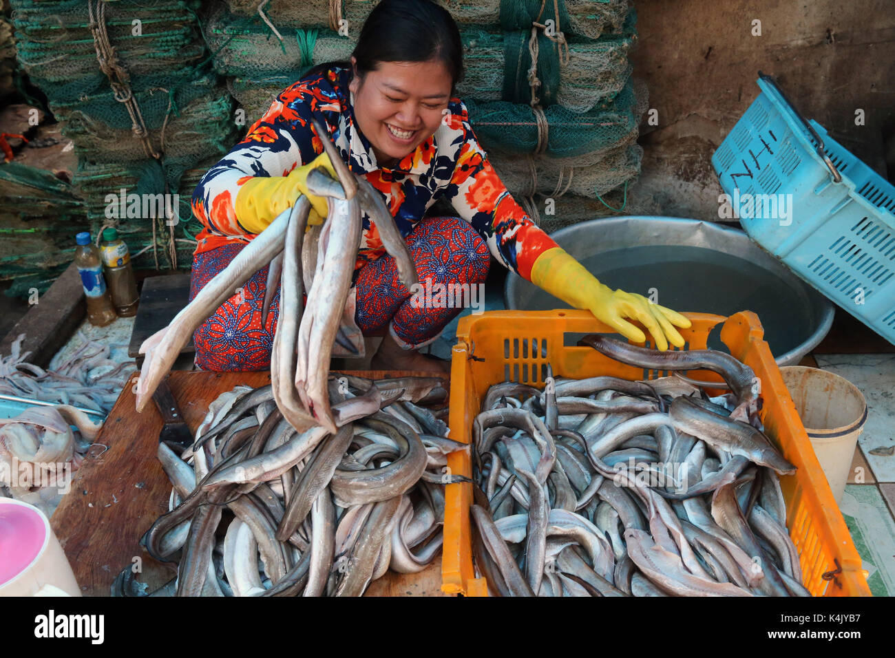 Woman sorting through fresh catch of fish, Vung Tau fish market ...