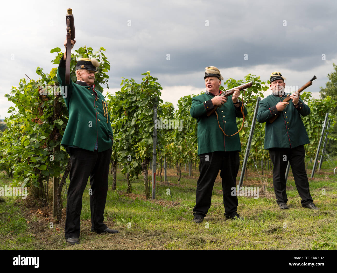 Gun club members give their salute at the wine harvest opening event of ...