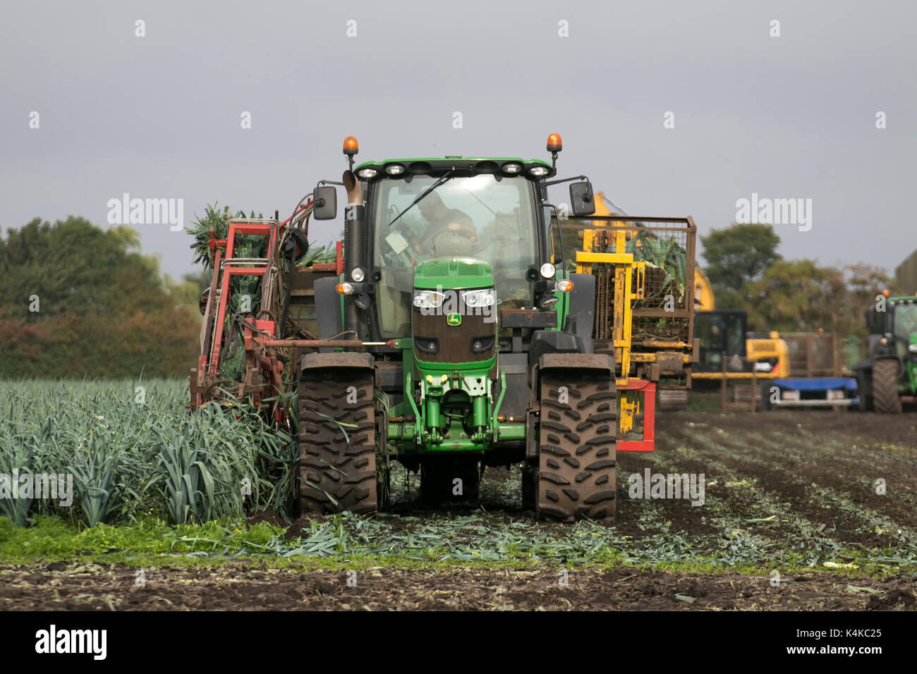 Rig automatic leek harvesting machine hi-res stock photography and ...