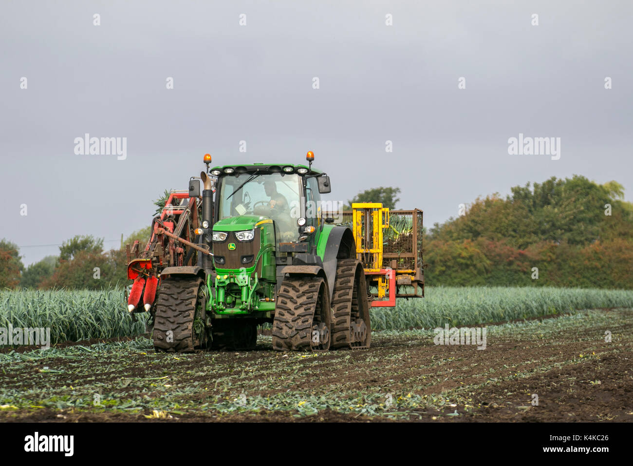 Rig automatic leek harvesting machine hi-res stock photography and ...