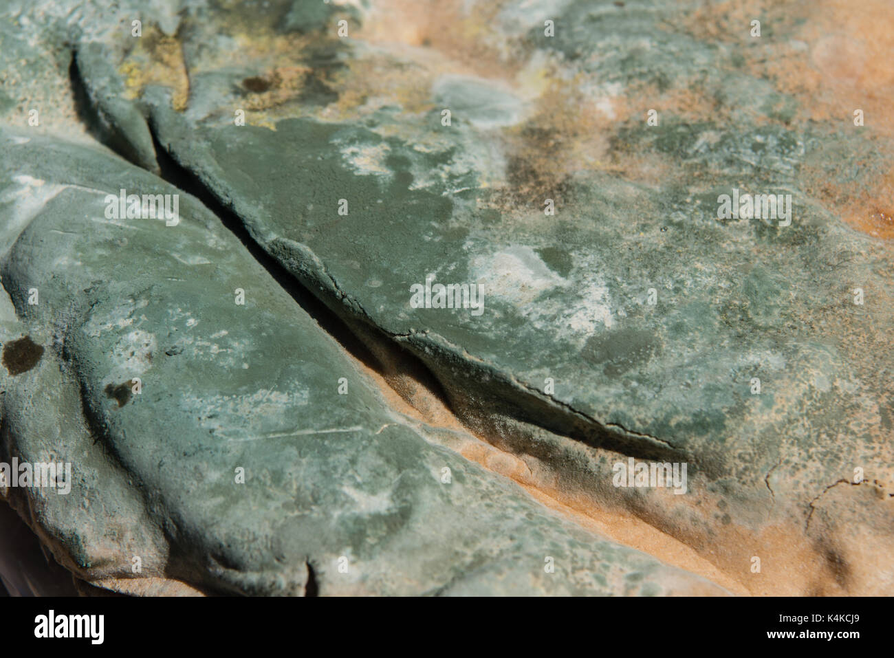 Moldy bread, detail, close-up Stock Photo - Alamy