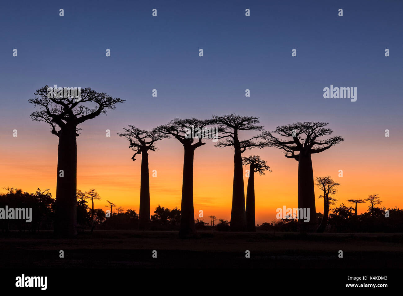 Madagascan sunset hi-res stock photography and images - Alamy